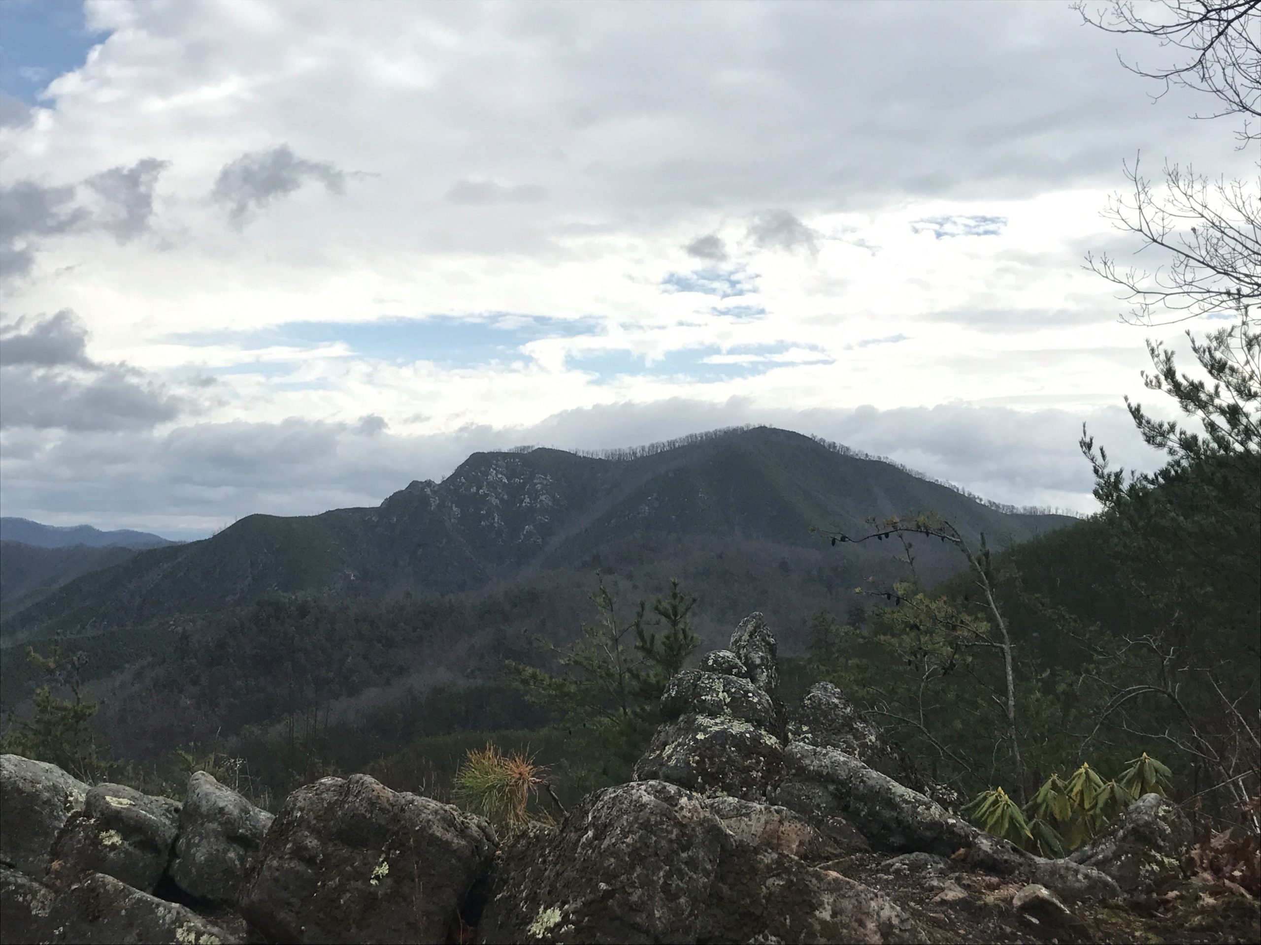 Cocke County | Cocke County